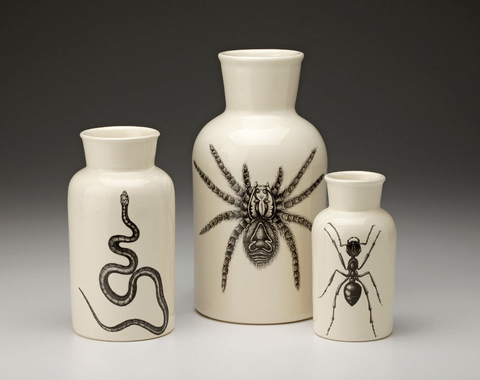 Tarantula, Snake and Ant Jar Set – Emily Amey